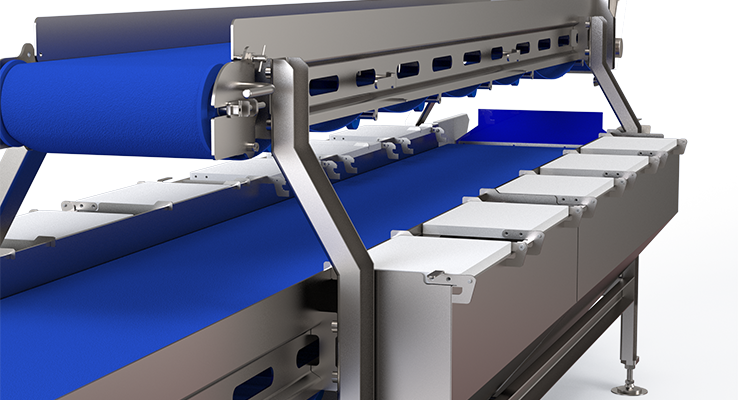 Trimlines | Processing - F.I.R.M. Inc.